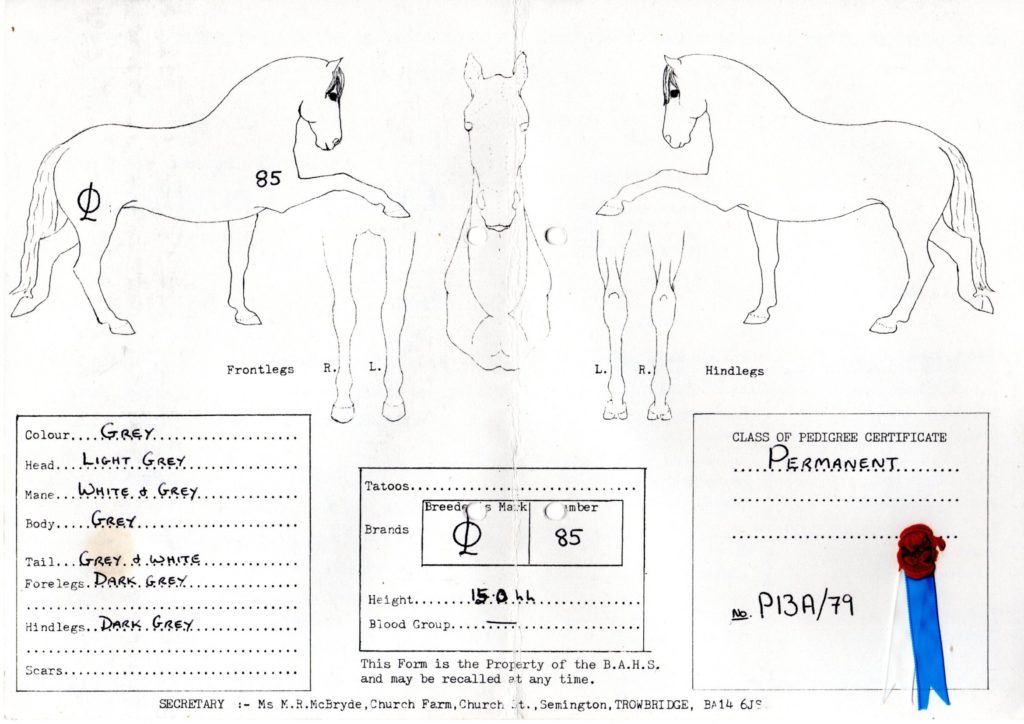 Passport and Documents Examples Library - The British Association for ...