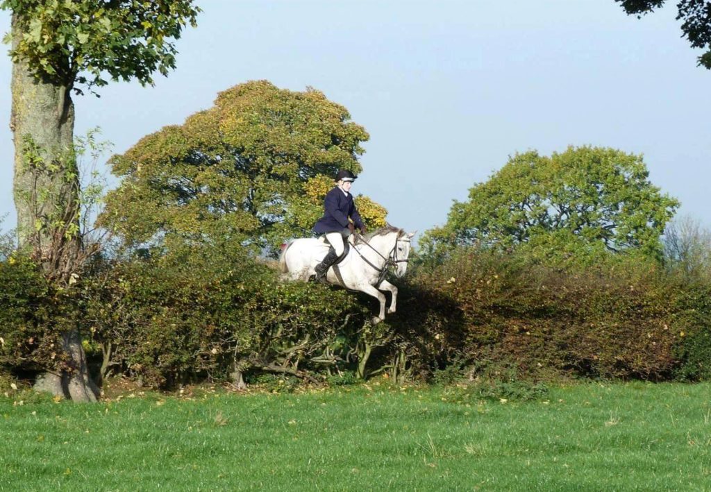 PINK jumping over huge hedge with Amy-smfl. Photo Alan Downs - The ...